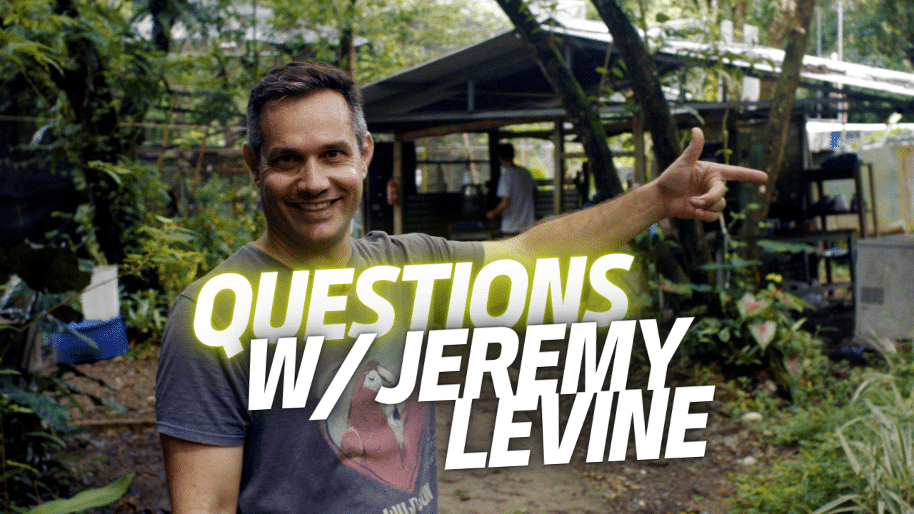 Jeremy Levine | Do You Know Vernon Arias?