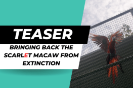 Five Heroic Children Who Are Braver Than Adults - Your Everyday Heroes