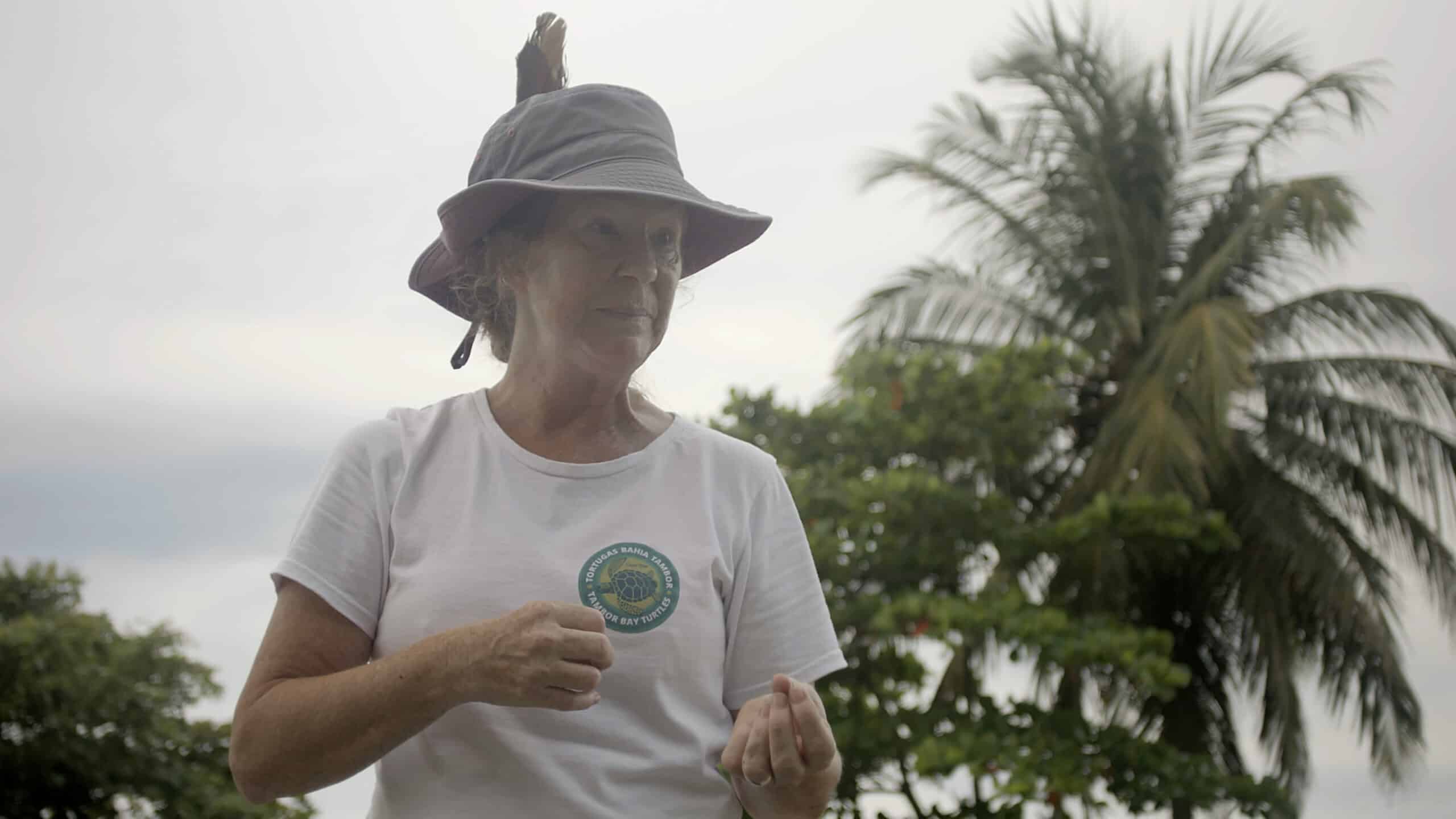 Sea Turtles: A Keystone Species